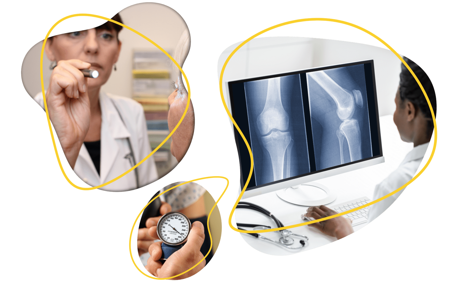 Primary Care PT and Imaging Education